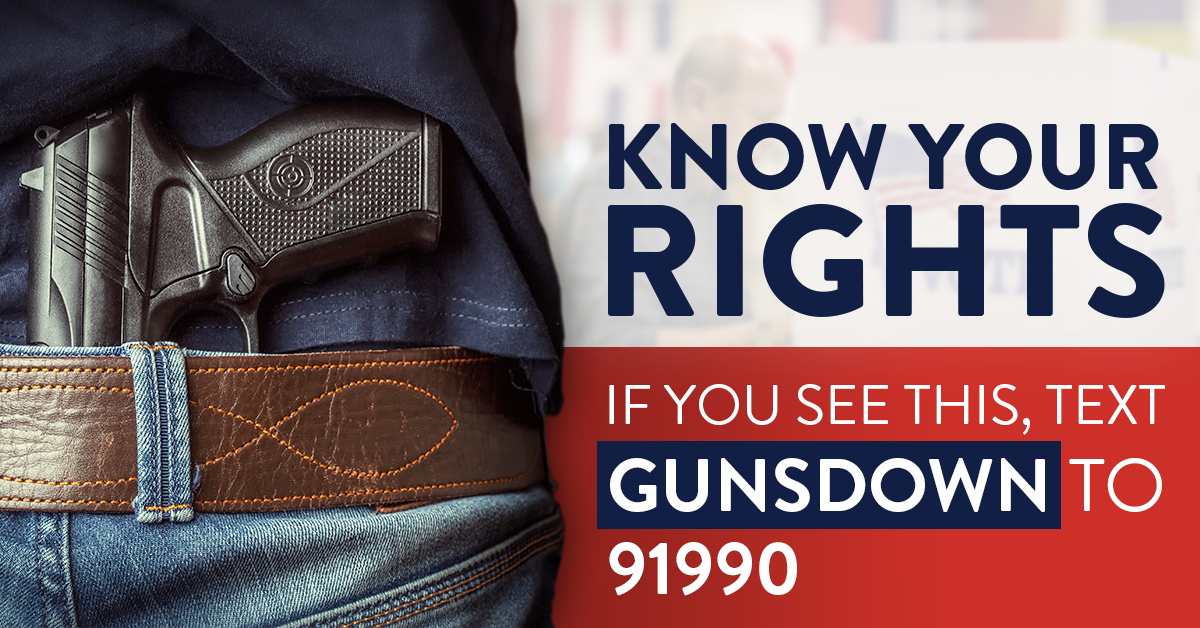 “Guns Down at the Polls” to provide resource to report firearm-related ...