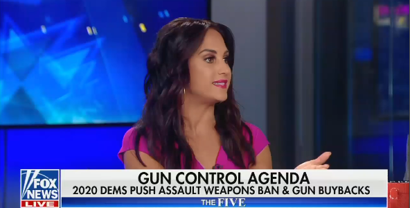 Fox host says discussing gun control proposals "fosters and feeds" gun ...