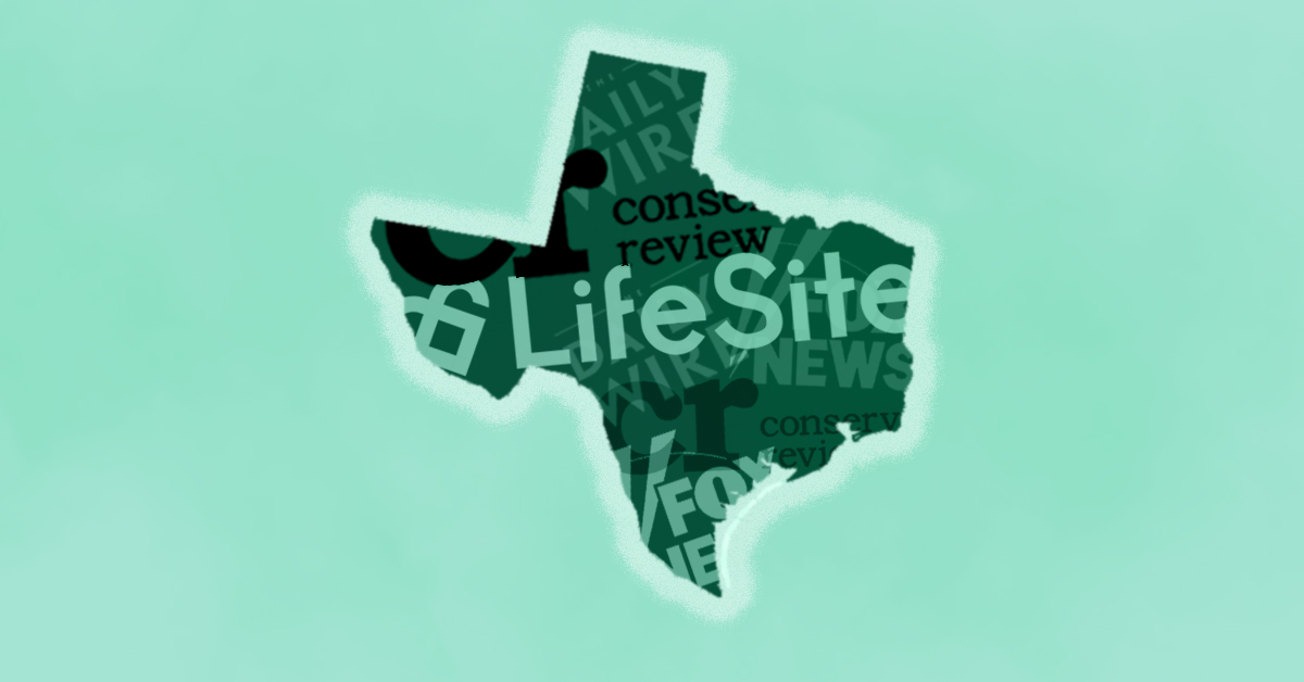 Right-wing media built the Texas government investigation into custody ...