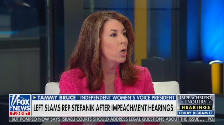 Fox's Tammy Bruce lies that Republicans can't ask questions or call ...