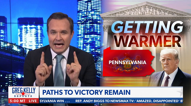Newsmax host: Trump's election lawsuits are "coming together" and ...