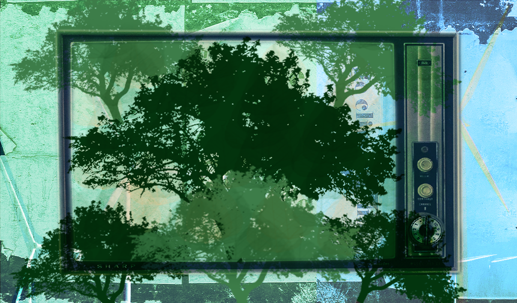 A dozen times right-wing media said something ridiculous about climate ...