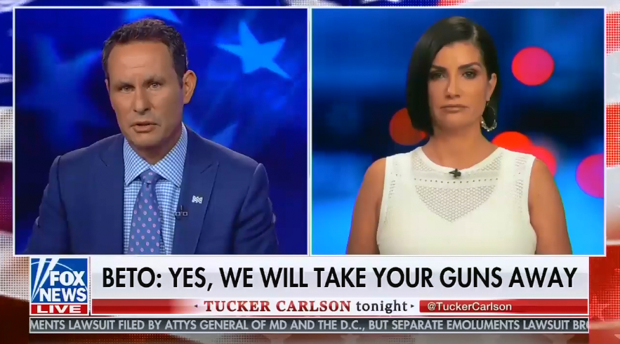 Pro-gun pundit Dana Loesch suggests Democrats want to massacre gun ...
