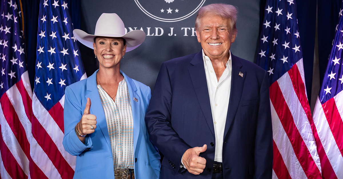 Arizona state Sen. Janae Shamp has promoted neo-Nazis and other ...