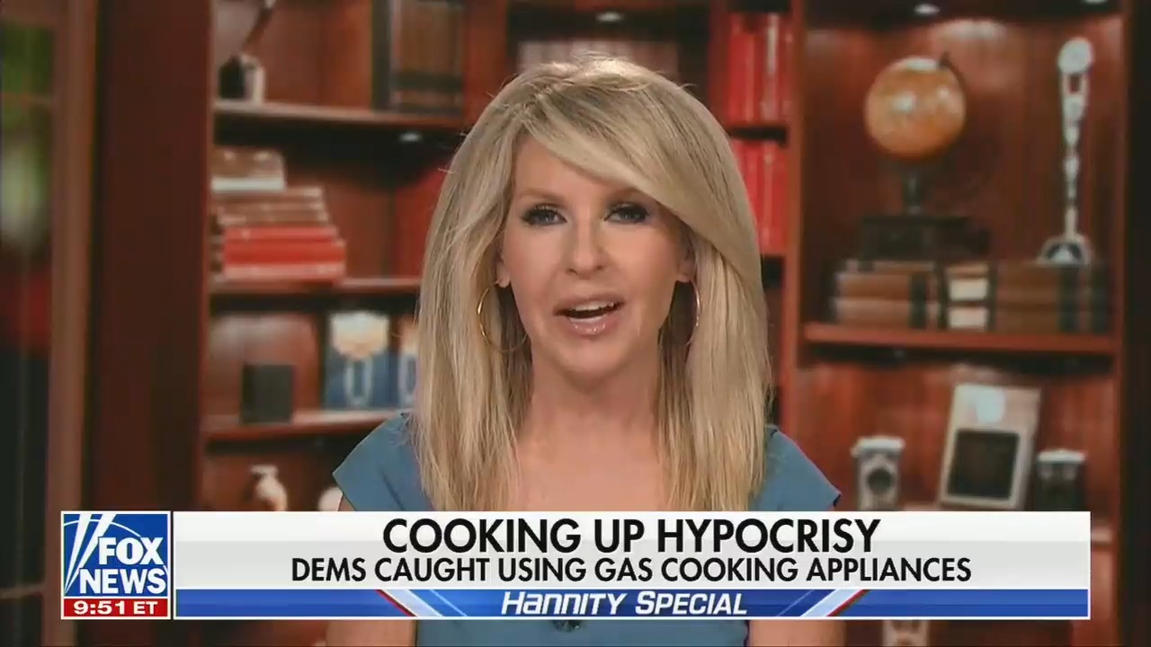 Fox News guest says supposed gas stove ban is part of a plot to "get to ...
