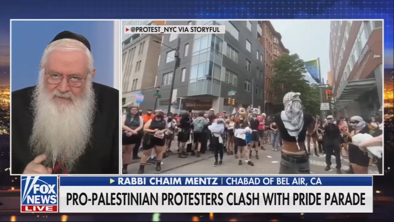Fox News guest Rabbi Chaim Mentz on pro-Palestinian protests: "Arabs ...