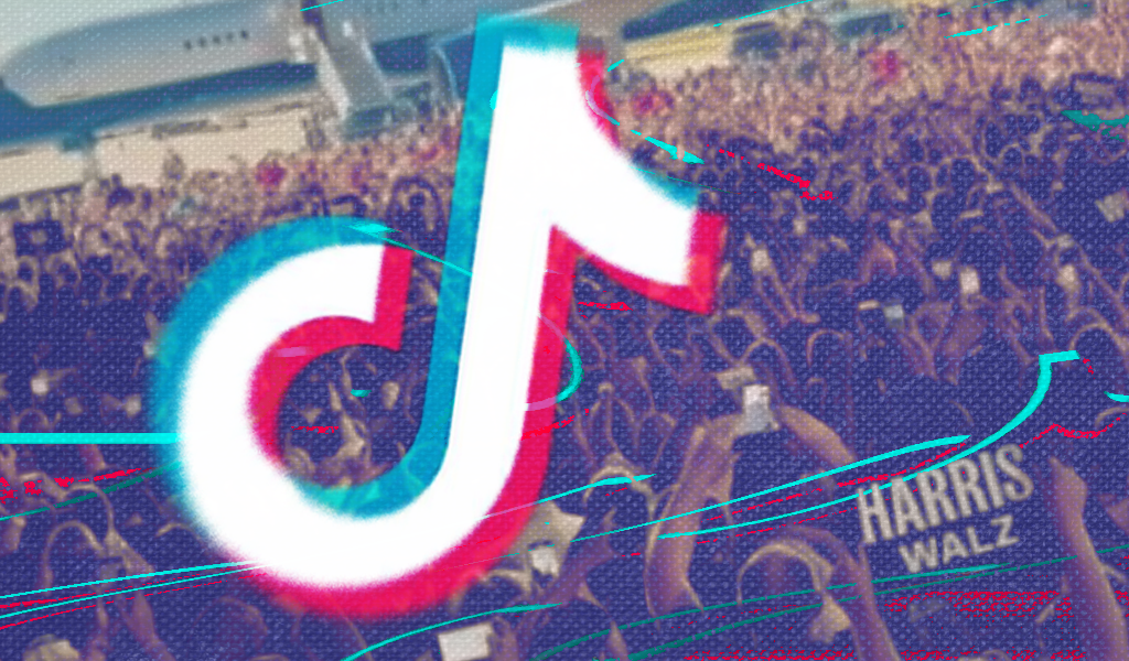 Harris AI crowd size conspiracy theory runs rampant on TikTok | Media ...