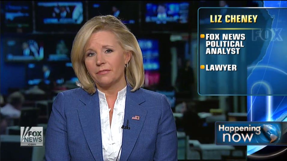 Will Liz Cheney's Possible Senate Run Set Up A Conflict With Karl Rove ...