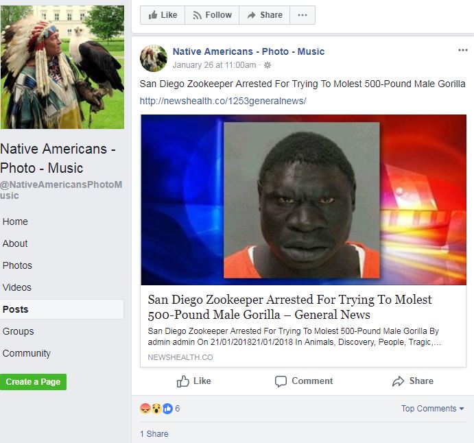 Facebook pulled down several pages pretending to represent Native ...
