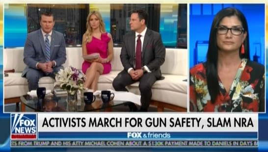 Nra Spokesperson Dana Loesch Suggests The Money Spent On The March For