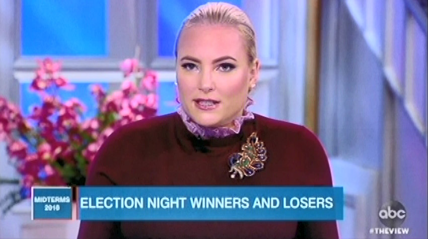 Meghan McCain tells Democrats to run moderates to pick up Republican ...
