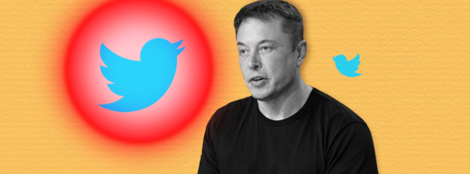 Elon Musk Favors Right Wing Over Left Wing Users As He Reinstates